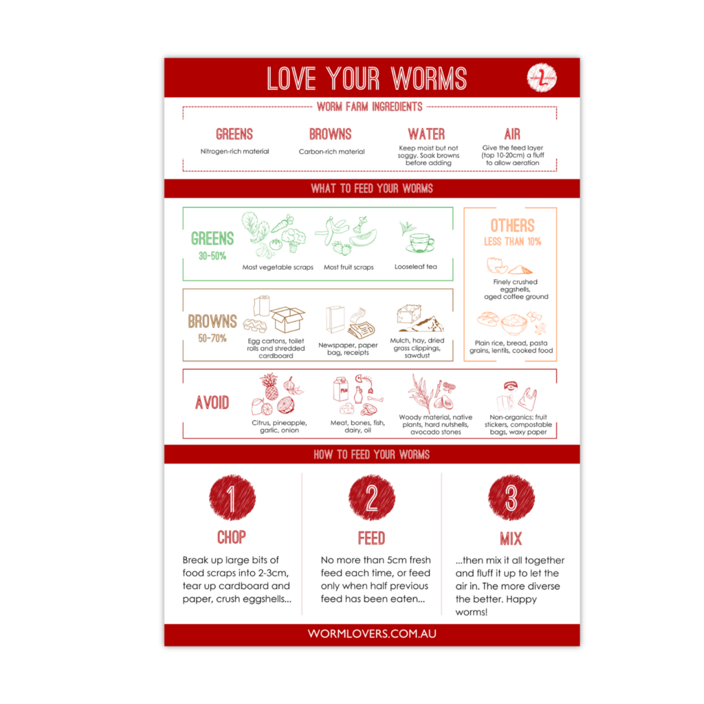 Large worm farm system kit - Wormlovers worm farms