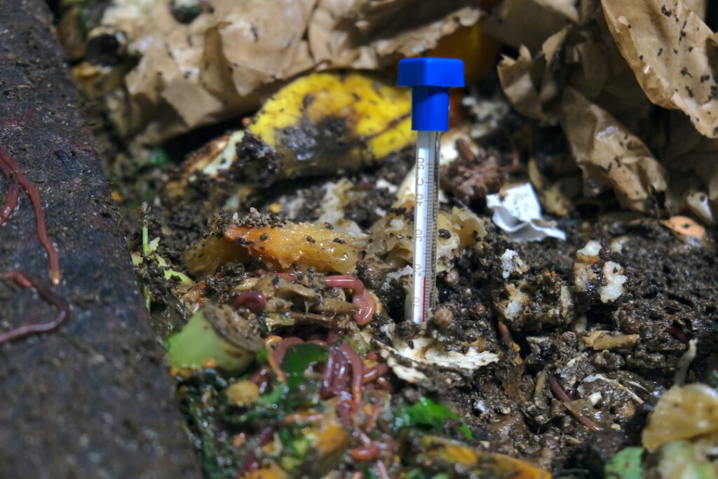 Worm farm thermometer - Wormlovers worm farms