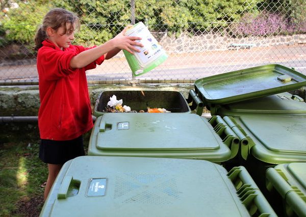 Schools curriculum - Wormlovers worm farms