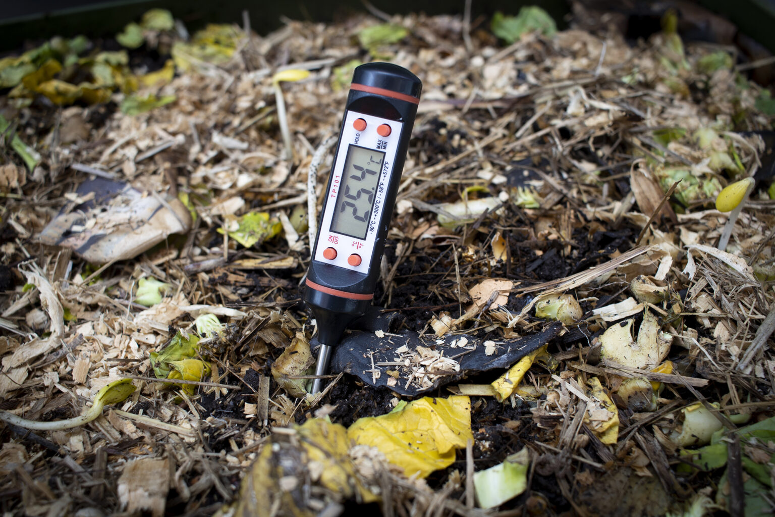 Keeping your worms alive in hot weather - Wormlovers worm farms