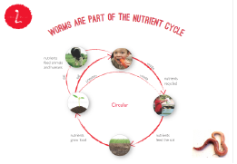 Schools curriculum - Wormlovers worm farms