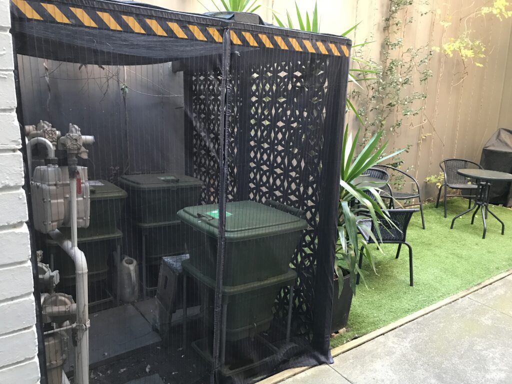 Keeping your worms alive in hot weather - Wormlovers worm farms