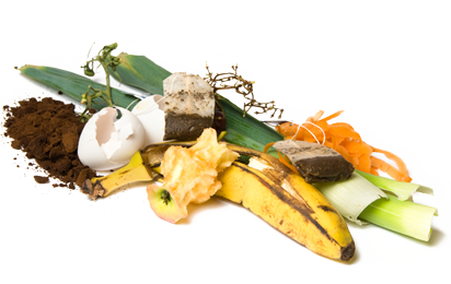 FAQs - Wormlovers worm farms